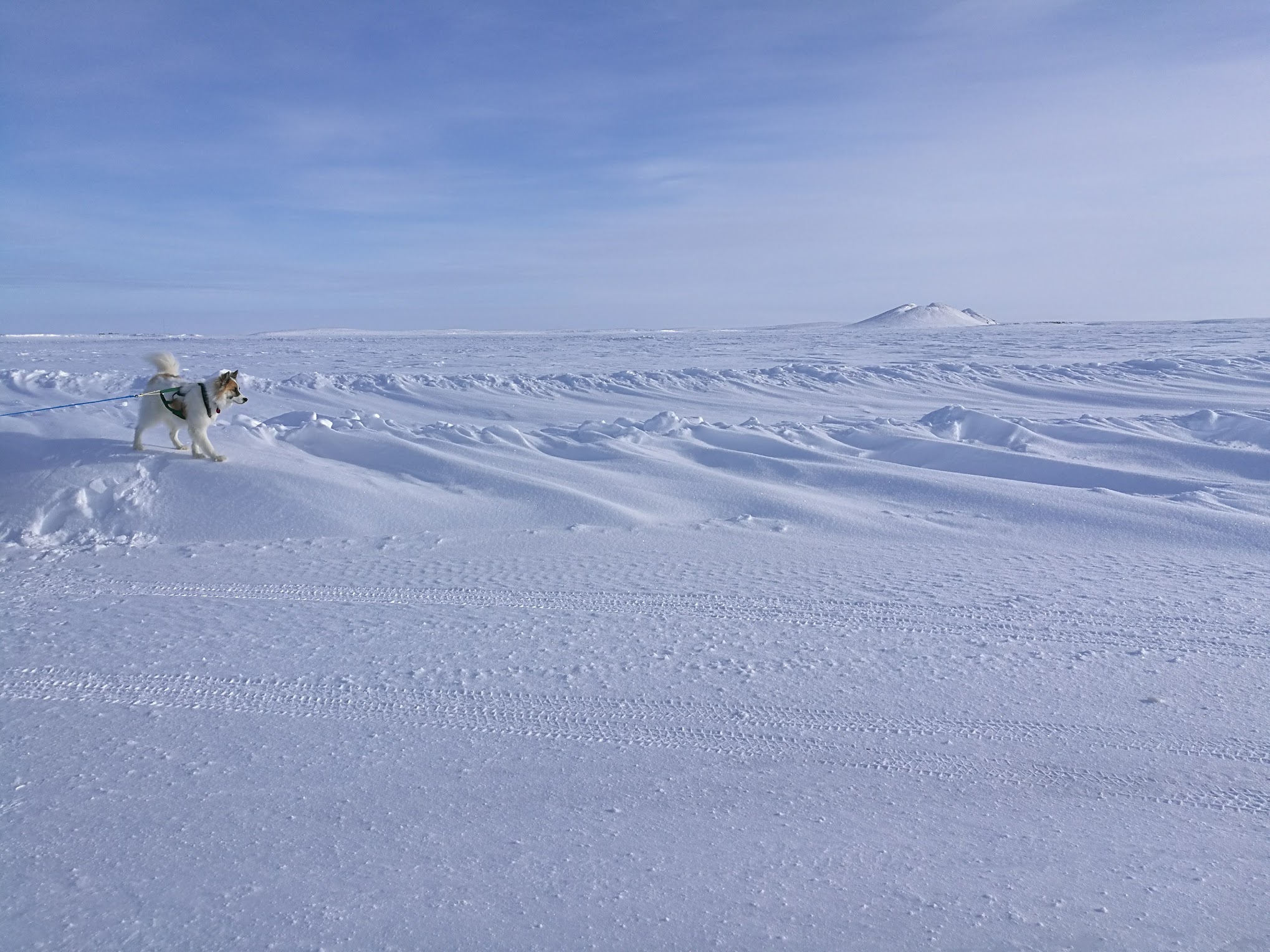 COP27 puts 'loss and damage' on the agenda. Where do Arctic communities ...
